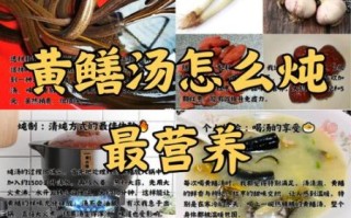 黄鳝汤怎么炖最营养_黄鳝汤最有营养的做法
