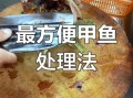 野生甲鱼怎么杀_杀甲鱼最正确的方法
