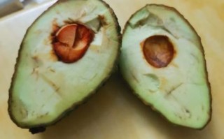 牛油果难吃到怀疑人生_为什么牛油果这么难吃