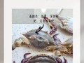 三疣梭子蟹图片怎么分辨_三疣梭子蟹和梭子蟹区别