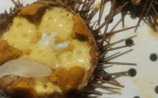 海胆怎么清蒸_清蒸海胆蒸多久