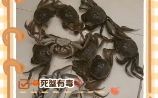 螃蟹死掉几小时可以吃吗_死蟹多久还能吃