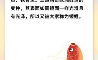 三道鳞多少钱一斤_三道鳞价格行情