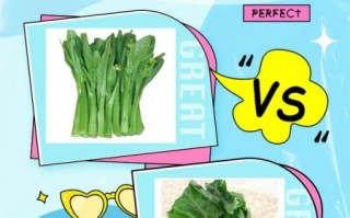 菜心和芥兰的区别_哪个更营养