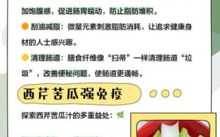 苦瓜汁减肥真的有用吗_苦瓜汁一周瘦十斤方法