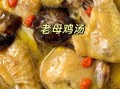 老鸡汤怎么炖好喝_老母鸡炖汤的家常做法