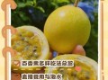 百香果怎么吃最好_百香果的正确吃法