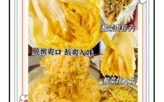东北积酸菜怎么做_酸菜缸怎么选