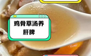 鸡骨草赤小豆煲猪横脷的功效_能天天喝吗