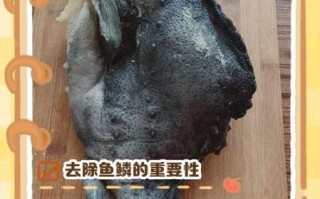 海参斑鱼怎么去鱼鳞_海参斑鱼鳞难刮吗