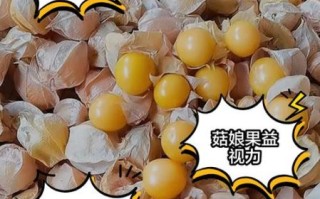 菇凉子是什么_菇凉子怎么吃 菇凉子是什么_菇凉子怎么吃