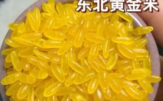 黄金大米事件最终结果_转基因大米安全吗