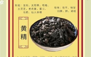 黄精的功效与作用_黄精适合哪些人吃