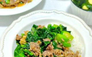 牛肉盖饭怎么做_牛肉盖饭酱汁比例