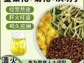 牛蒡根桂花茶的功效与作用_适合什么人喝