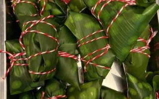 鲜肉粽怎么做才好吃_鲜肉粽的家常做法