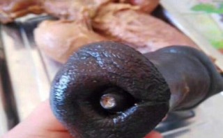 驴鞭价格多少钱一根_驴鞭怎么挑选才划算