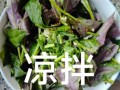紫背天葵的功效与作用_紫背天葵怎么吃