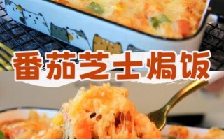 腊蔬缤纷焗饭怎么做_腊蔬缤纷焗饭好吃吗