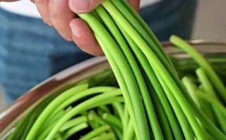 蒜台怎么保存时间长_蒜台图片大全