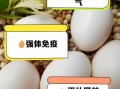 鸽子蛋和鸡蛋哪个更营养_鸽子蛋顶几个鸡蛋