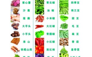 蔬菜大全图片和名字_常见蔬菜种类有哪些