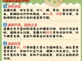 藕的作用与功效_藕怎么吃最养生