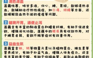 藕的作用与功效_藕怎么吃最养生