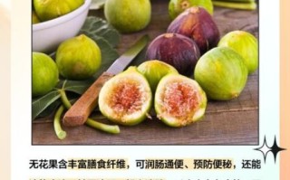 无花果图片大全及作用_无花果的功效与禁忌