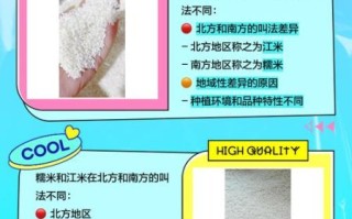 江米和糯米一样吗_江米与糯米的区别