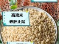 高粱米的功效与作用_高粱米营养价值高吗
