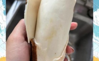 新鲜木薯怎么吃_木薯怎么去皮最安全