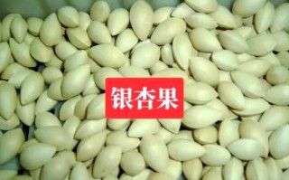 炒白果的做法_白果怎么炒才香