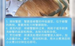 怎样清洗大闸蟹最干净_大闸蟹清洗步骤