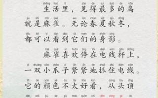 麻雀喳喳野行记是什么_麻雀喳喳野行记在哪看