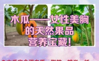 女人吃木瓜有什么好处_木瓜丰胸是真的吗