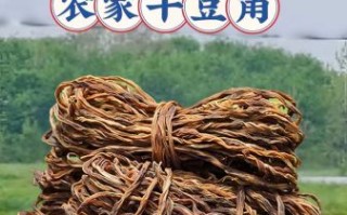 干豆角怎么晒_干豆角焯水还是直接晒