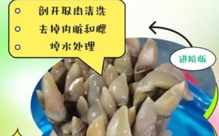 蛏子怎么洗干净_蛏子清洗技巧