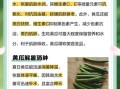 生吃黄瓜的好处和坏处_黄瓜可以天天吃吗