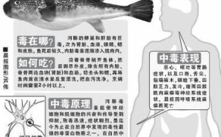河豚毒素作用机制_中毒后如何自救