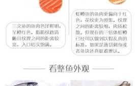 鲑鱼是什么鱼_鲑鱼和三文鱼的区别