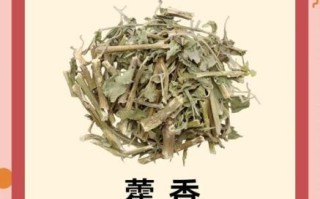 藿香怎么吃_藿香有什么功效与作用