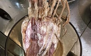 晒干的鱿鱼干怎么做好吃_鱿鱼干泡发技巧