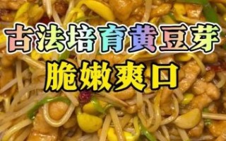 在家发黄豆芽小窍门_黄豆芽怎么发最快