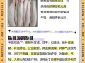 鱼鳔的功效与作用_鱼鳔怎么吃最补肾