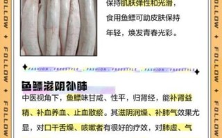 鱼鳔的功效与作用_鱼鳔怎么吃最补肾