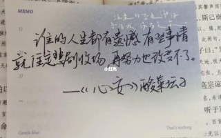 酸菜坛子作品集心安讲了什么_如何理解心安主题