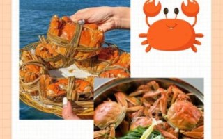 大闸蟹蒸多久可以吃_蒸大闸蟹最佳时间
