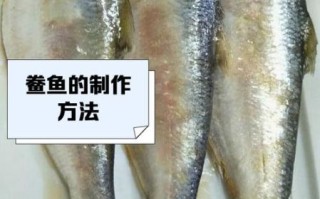 鲞鱼怎么读_鲞鱼是什么鱼