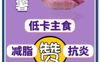 紫薯减肥能吃吗_紫薯减肥怎么吃最有效